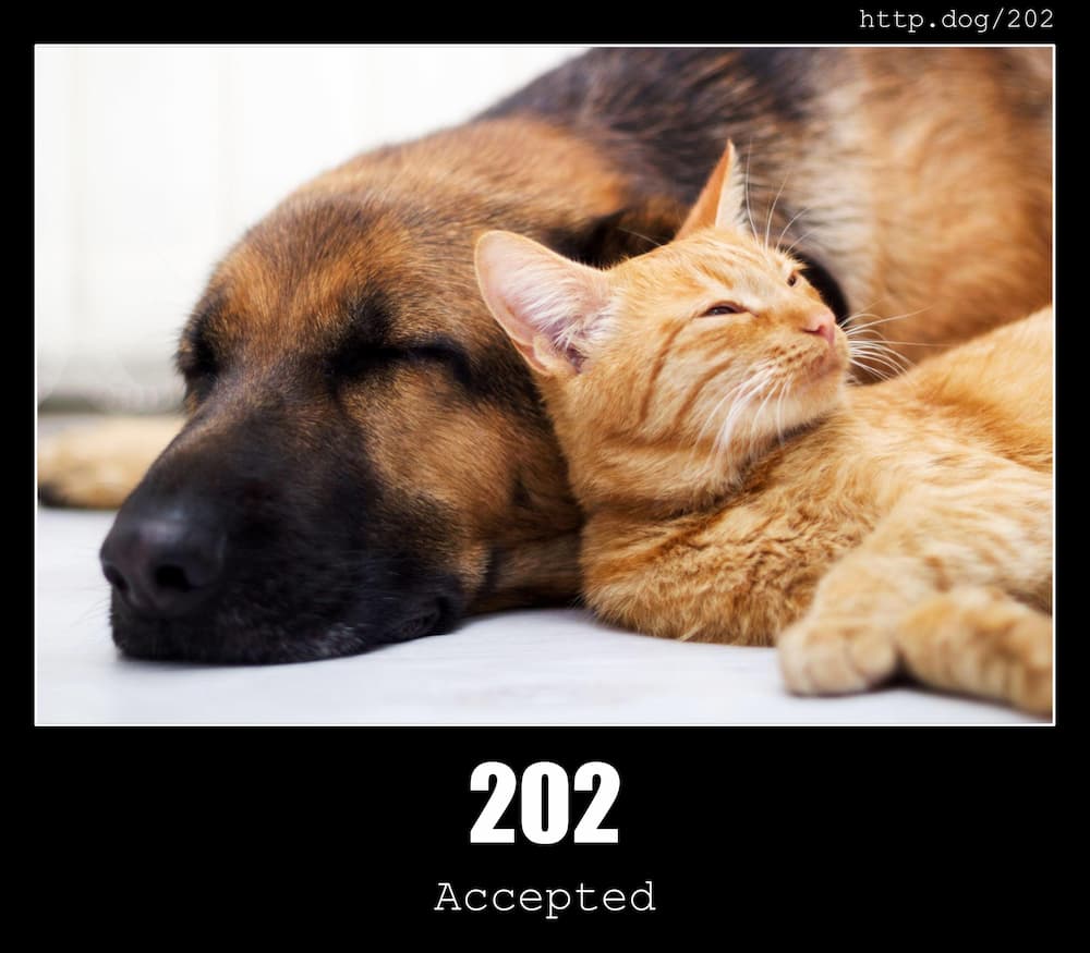 202 Accepted HTTP Status Code And Dogs 