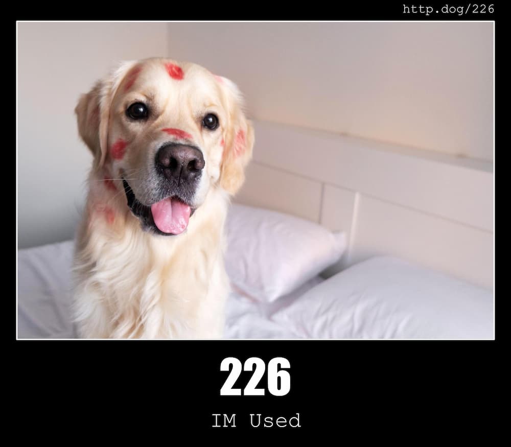 226 IM Used HTTP Status Code And Dogs 226 IM Used HTTP Status Code And Dogs