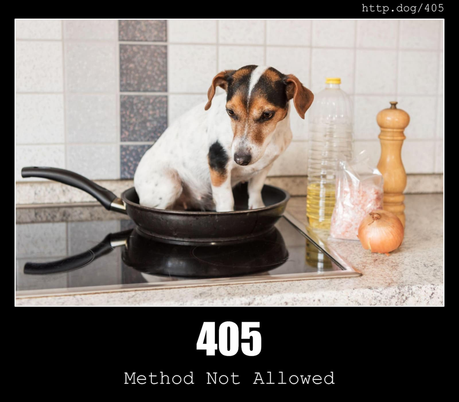 405 Method Not Allowed HTTP Status Code And Dogs 