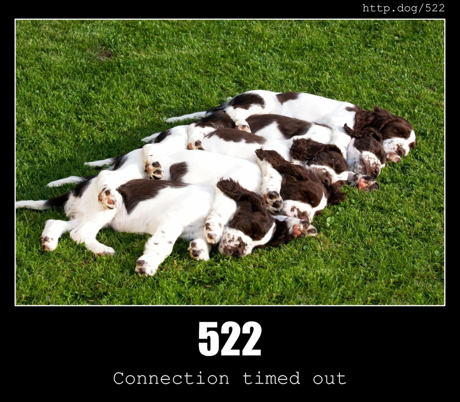 522 Connection Timed Out HTTP Status Code And Dogs 