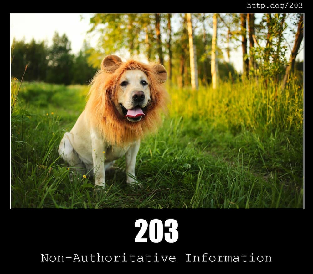 203 Non Authoritative Information HTTP Status Code And Dogs 203 Non Authoritative Information HTTP Status Code And Dogs