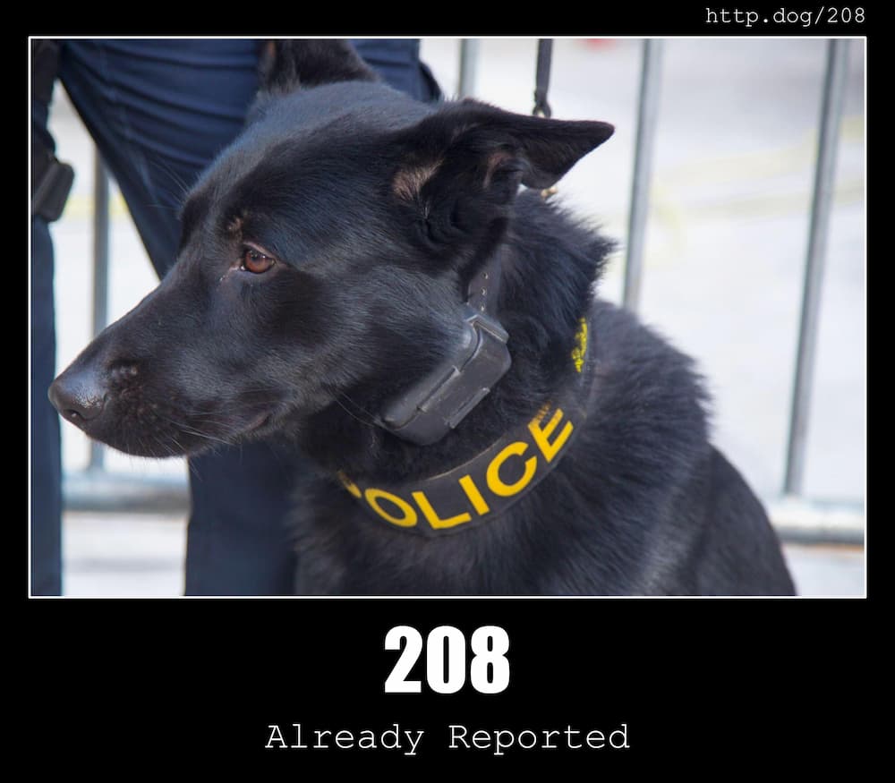 HTTP Status Dogs API - A dog image for every HTTP Status Code