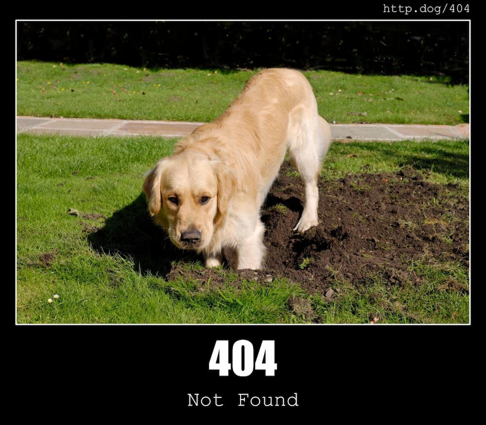 HTTP Status Dogs API - A dog image for every HTTP Status Code