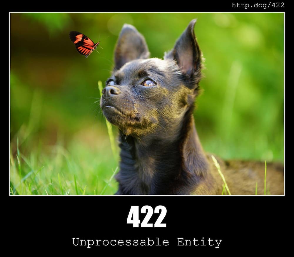 422 Unprocessable Entity HTTP Status Code And Cats 422 Unprocessable Entity HTTP Status Code And Cats
