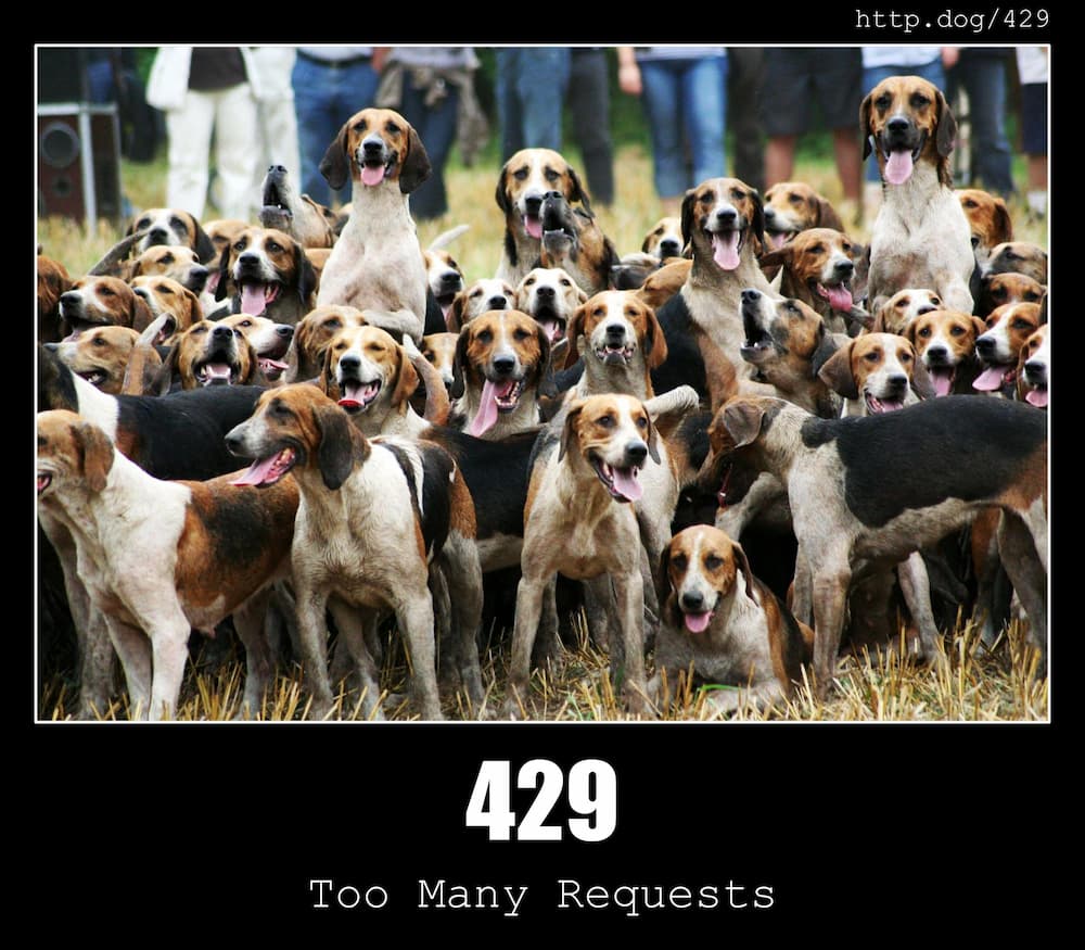 429 Too Many Res HTTP Status Code And Dogs 