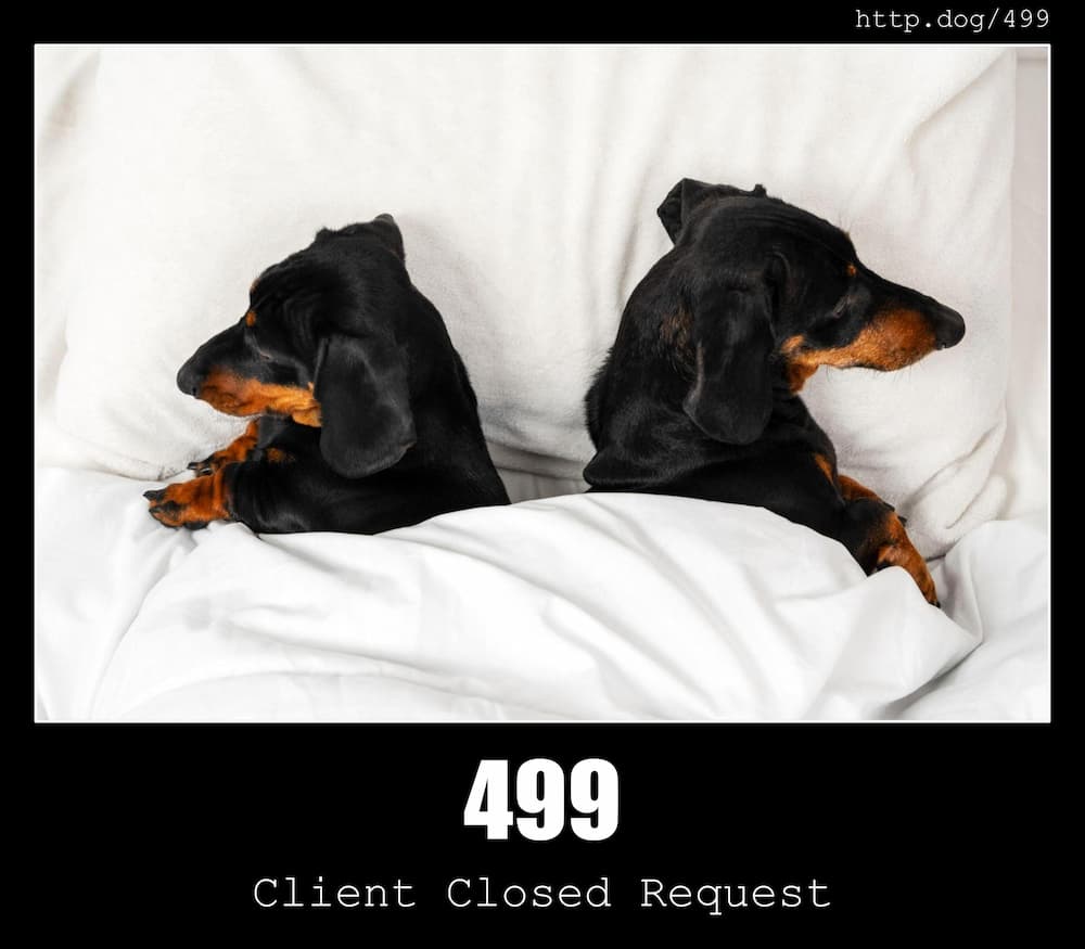 499 Client Closed Request - HTTP status code and dogs!