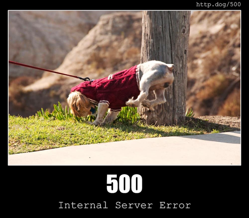 500 Internal Server Error - HTTP status code and dogs!