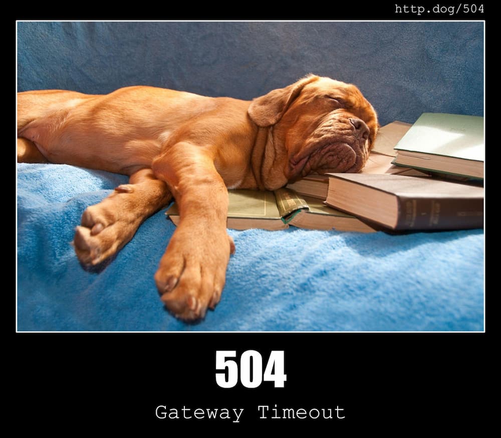 504 Gateway Timeout - HTTP status code and dogs!