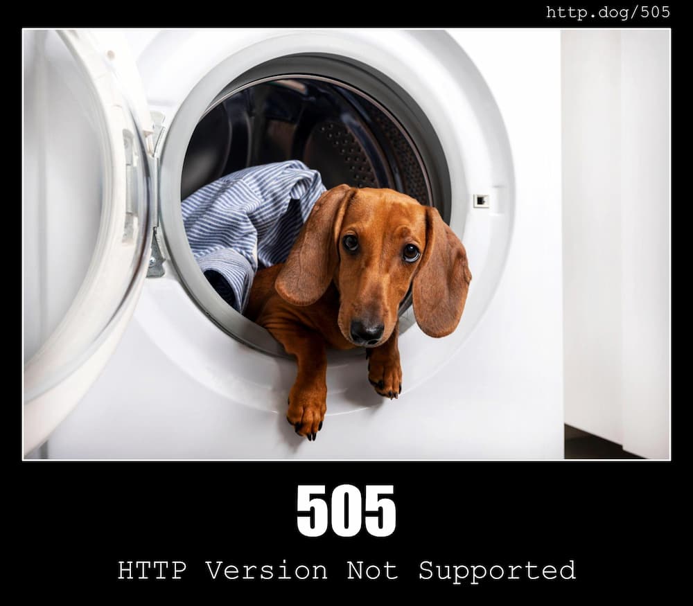 505 HTTP Version Not Supported - HTTP status code and dogs!